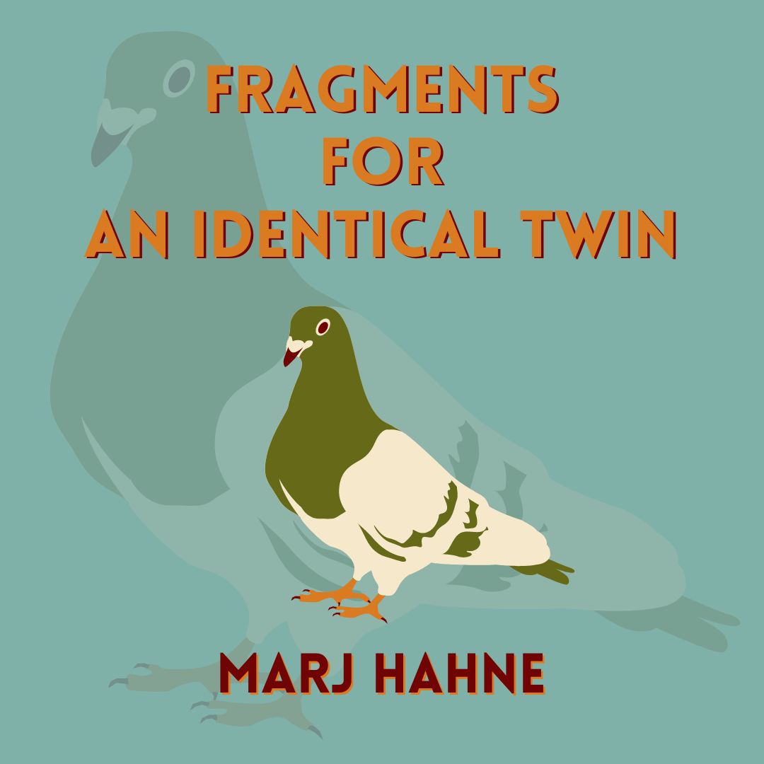 Marj Hahne: Fragments for an Identical Twin • Cleaver Magazine
