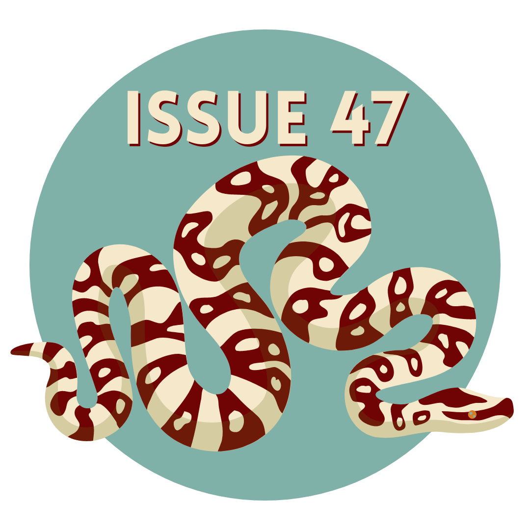 Issue 47 • Fall 2024 • Cleaver Magazine