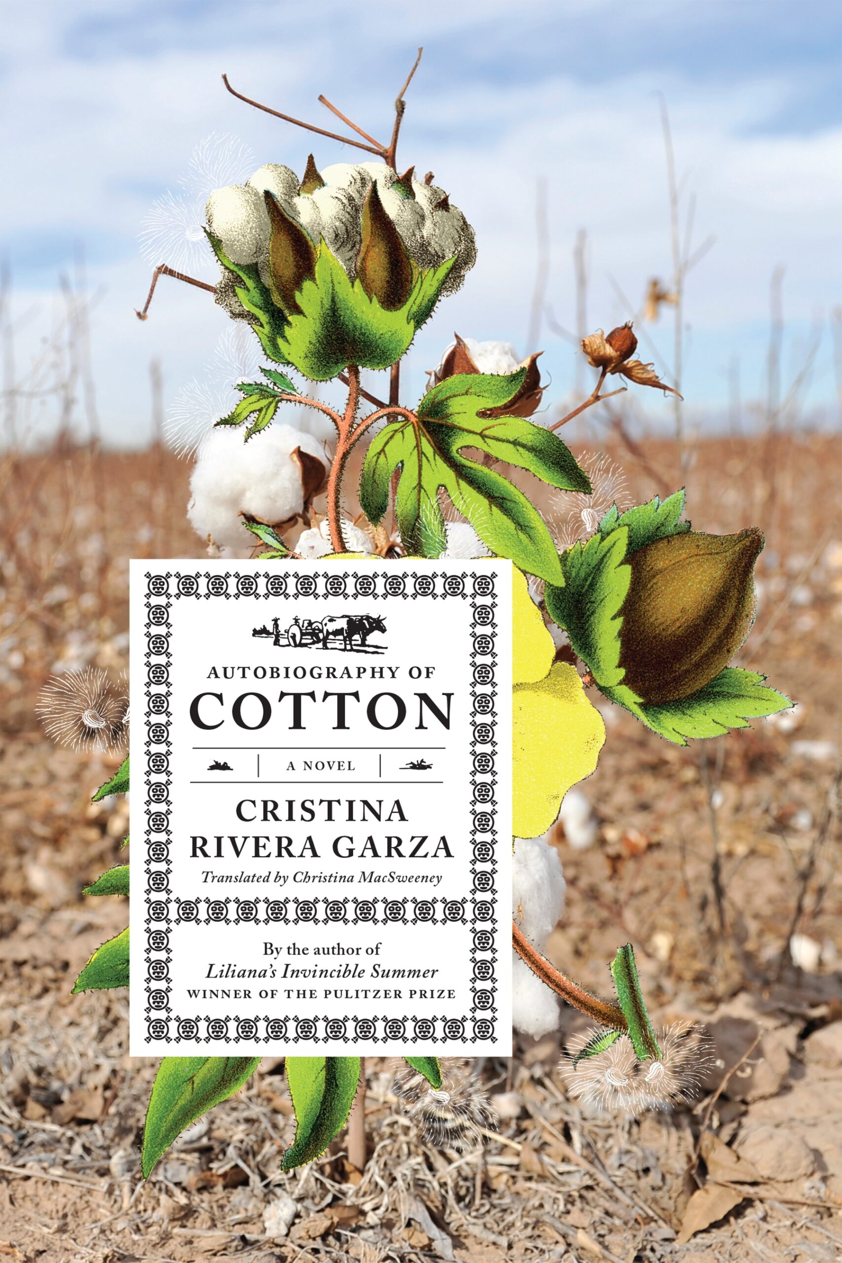 Autobiography of Cotton, by Cristina Rivera Garza • Book Reviews